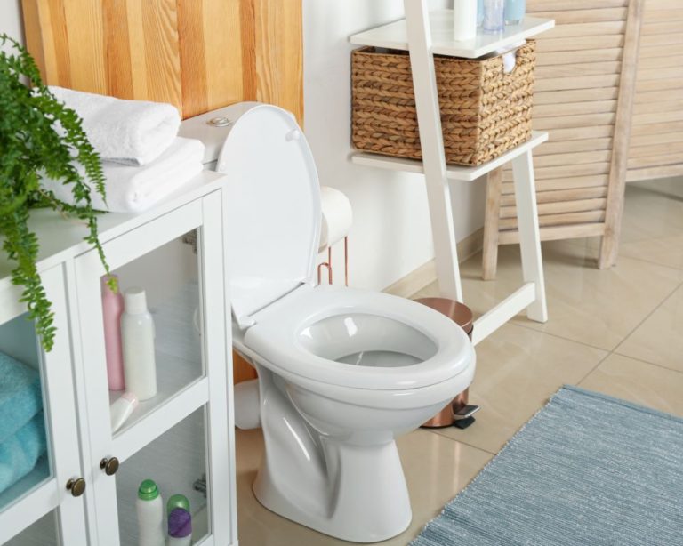 Best 10-Inch Rough-In Toilet Reviews - swankyden.com