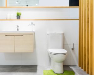 Top 4 Best Short Depth Toilets 24-25in & Guide For 2022 - SwankyDen