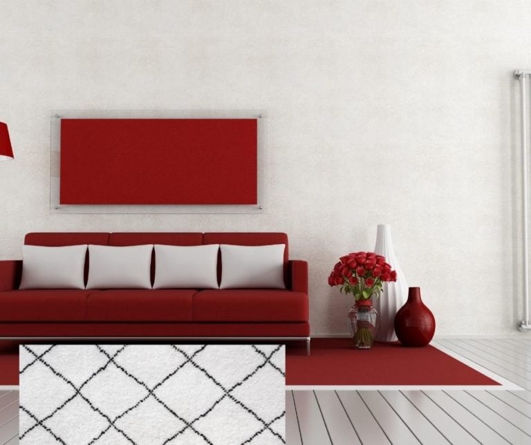 12 Fabulous Rug Colors For a Red Couch in 2022 - SwankyDen