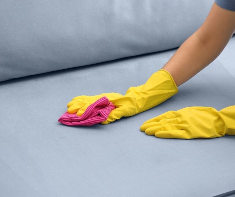 5 Best Water Based Upholstery Cleaners in 2022 - swankyden.com