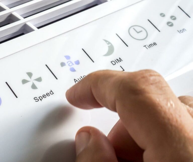 What is an Ion Fan? - swankyden.com