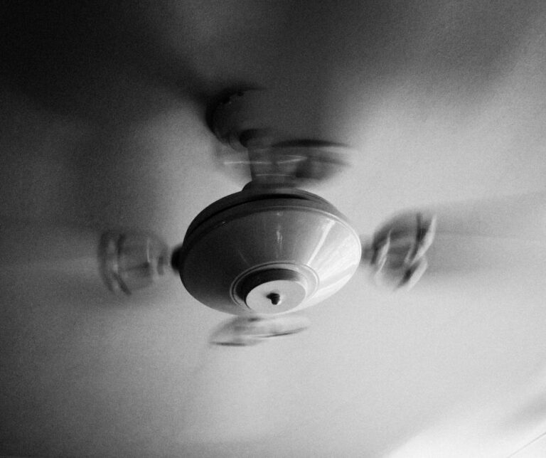 8 Ceiling Fans that Move the Most Air in 2022 - swankyden.com