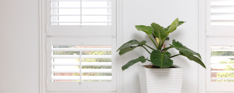 How to Decorate Wall Between Two Windows - swankyden.com